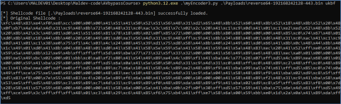 Windows Defender antivirus bypass in 2025 - part 1